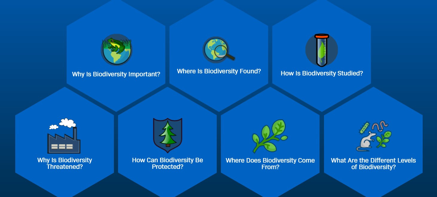 Home | Learning Sandbox